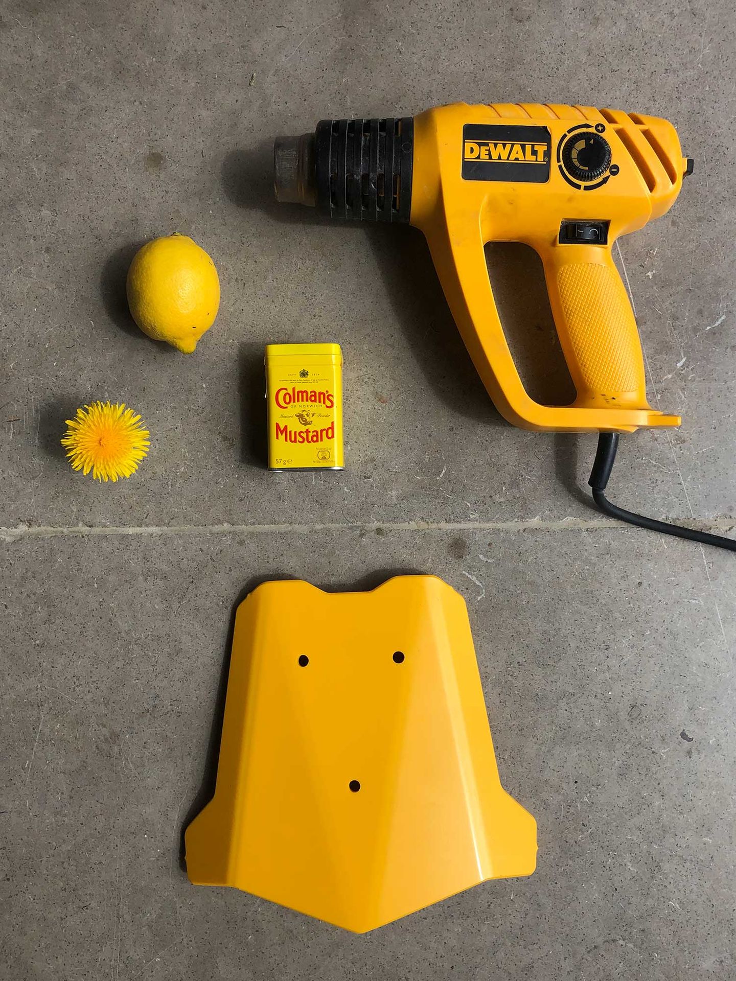 Is it yellow. Or is it yellow? | Adventure Spec US